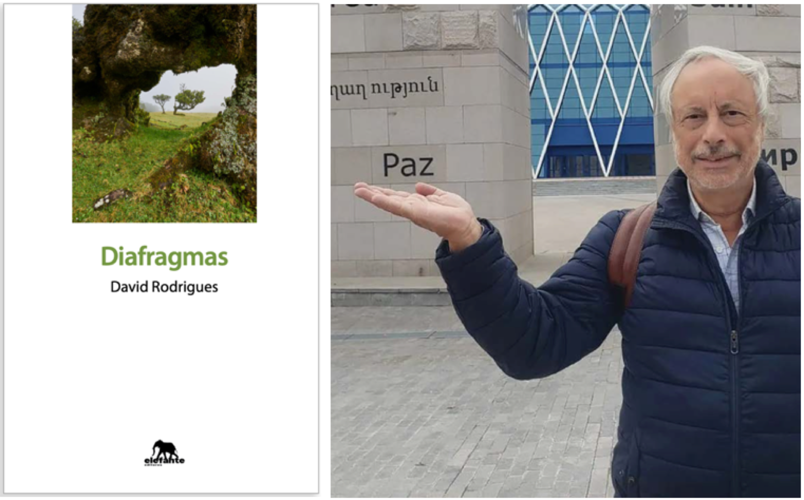 David Rodrigues: “Escrever haiku, uma forma inesgotável e sempre ...